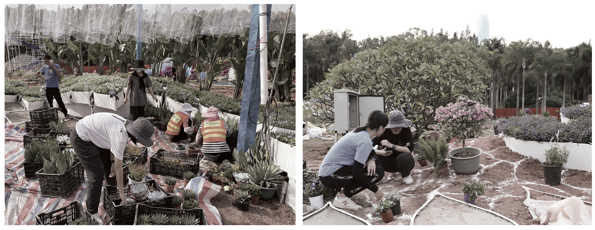 Gallery of The Wave Landscape Installation / Atelier Scale - 19