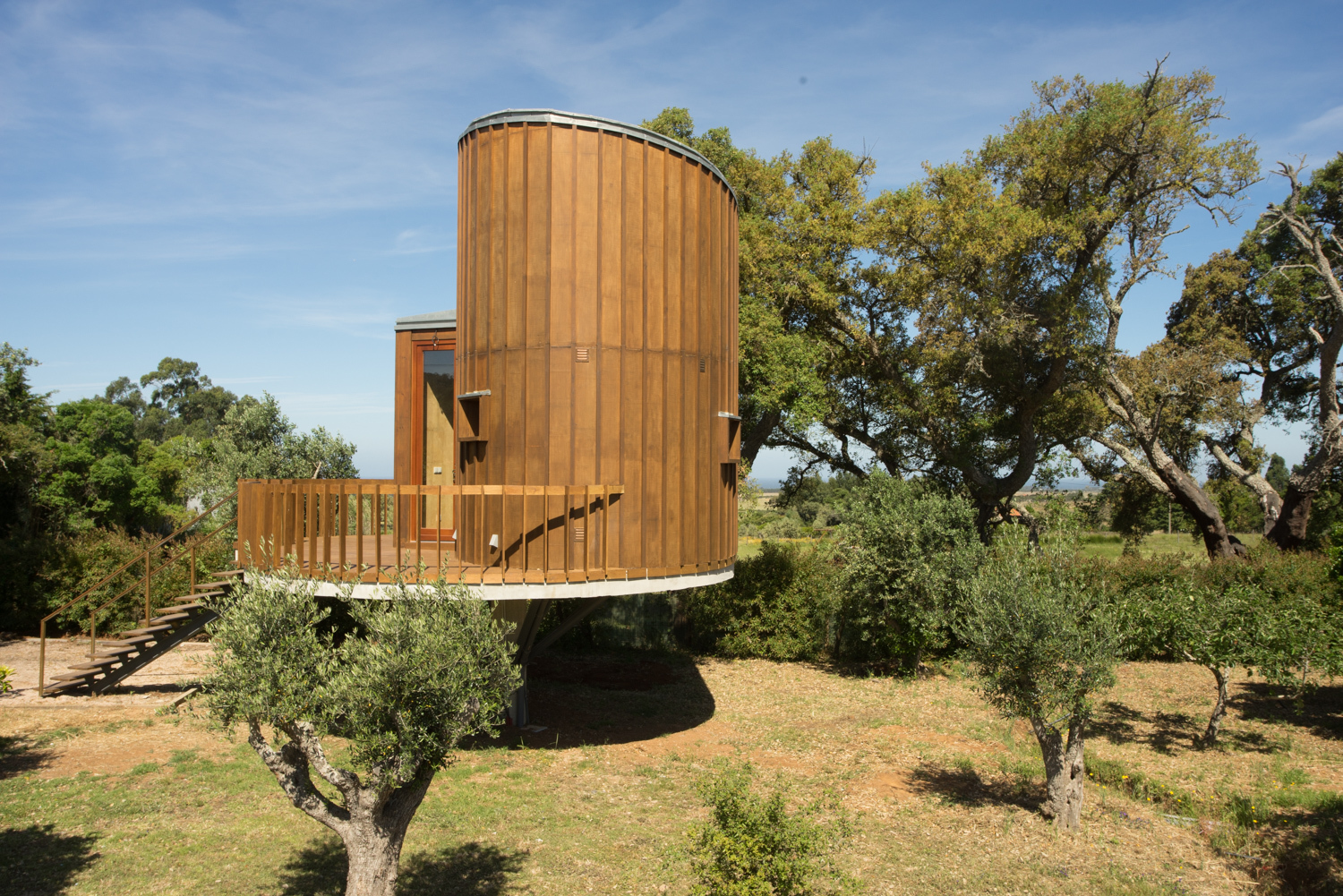 Gallery of Tree House / RA+TR arquitectos - 6