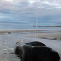 Guðlaug Baths / BASALT Architects | ArchDaily