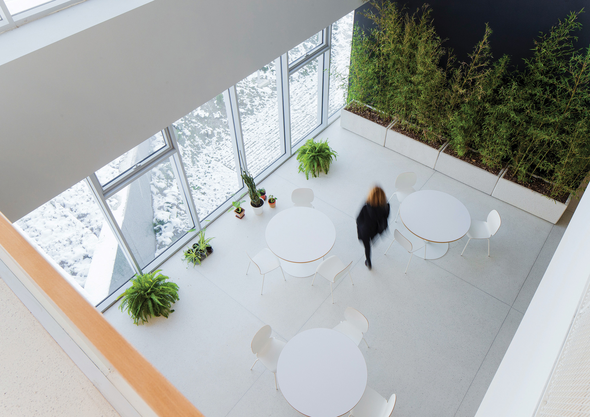 Galería de Escuela Ivanja Reka / Submap + J.K.A. Arhitekti - 35