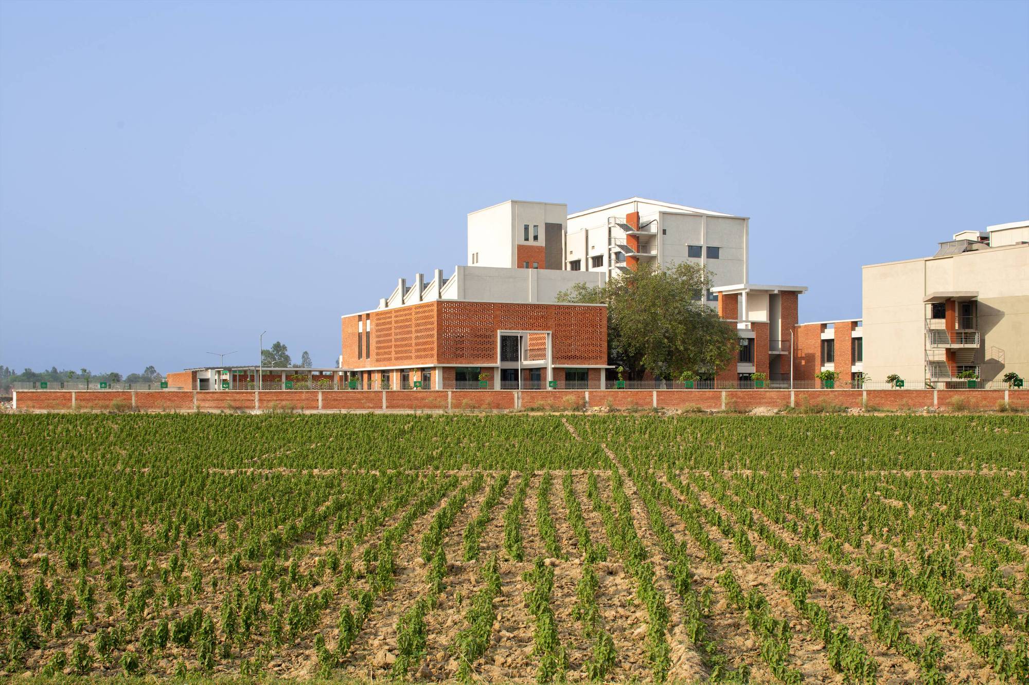 Gallery of Integrated Production Facility for Organic India / Studio ...
