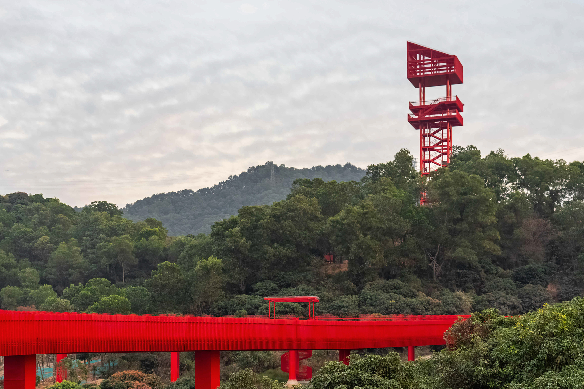 Galería de Se inaugura el Parque Forestal y Deportivo de Guangming en ...