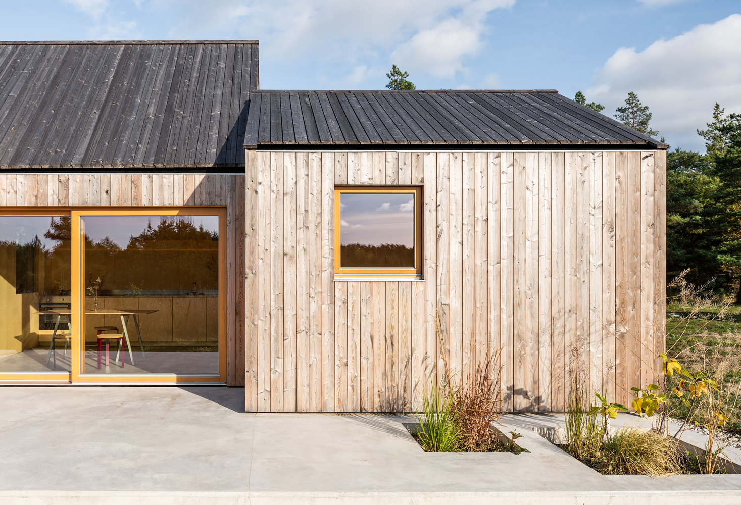 Gallery of Field House / Lookofsky Architecture - 4