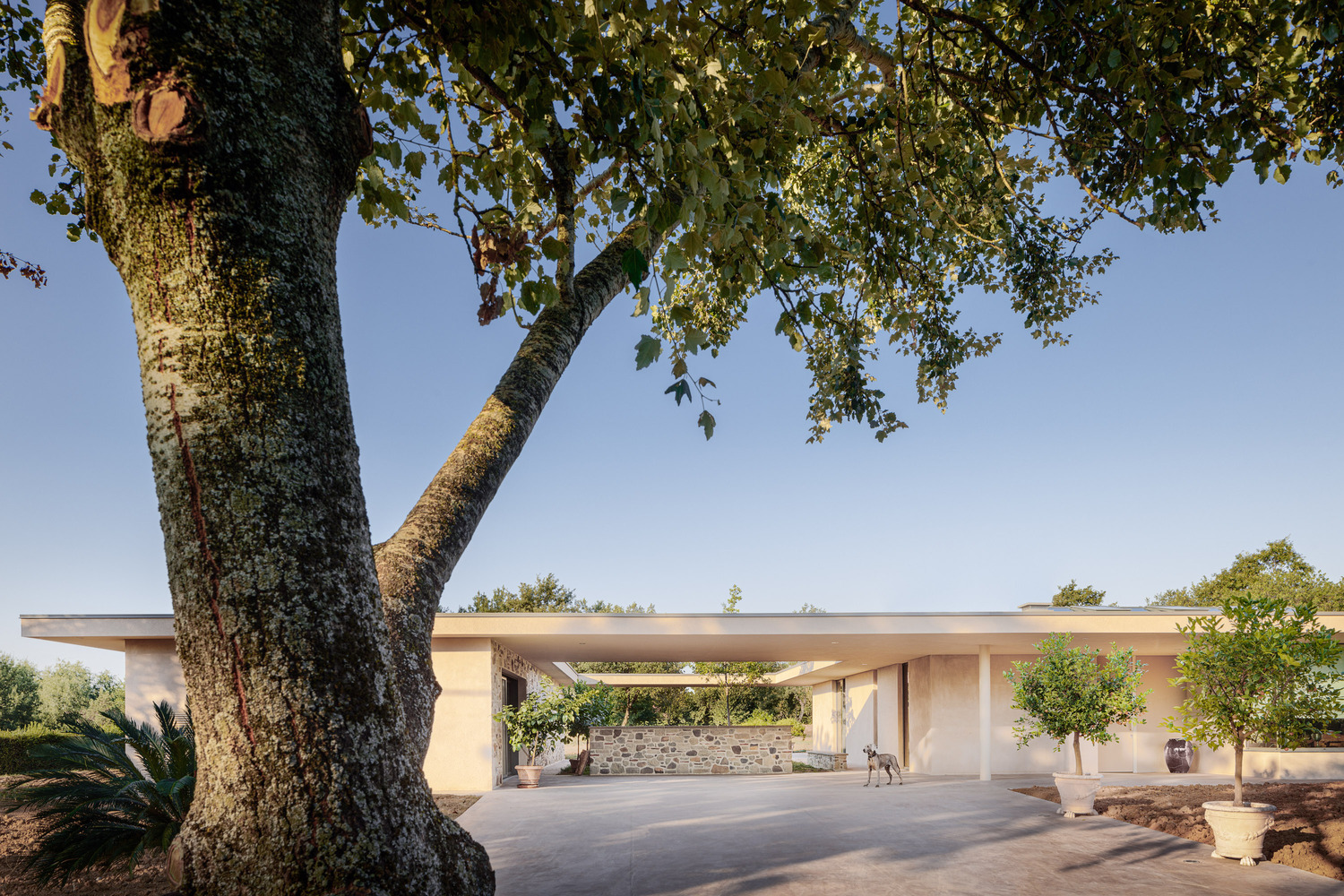 Gallery of Patio House / Studio Contini - 8