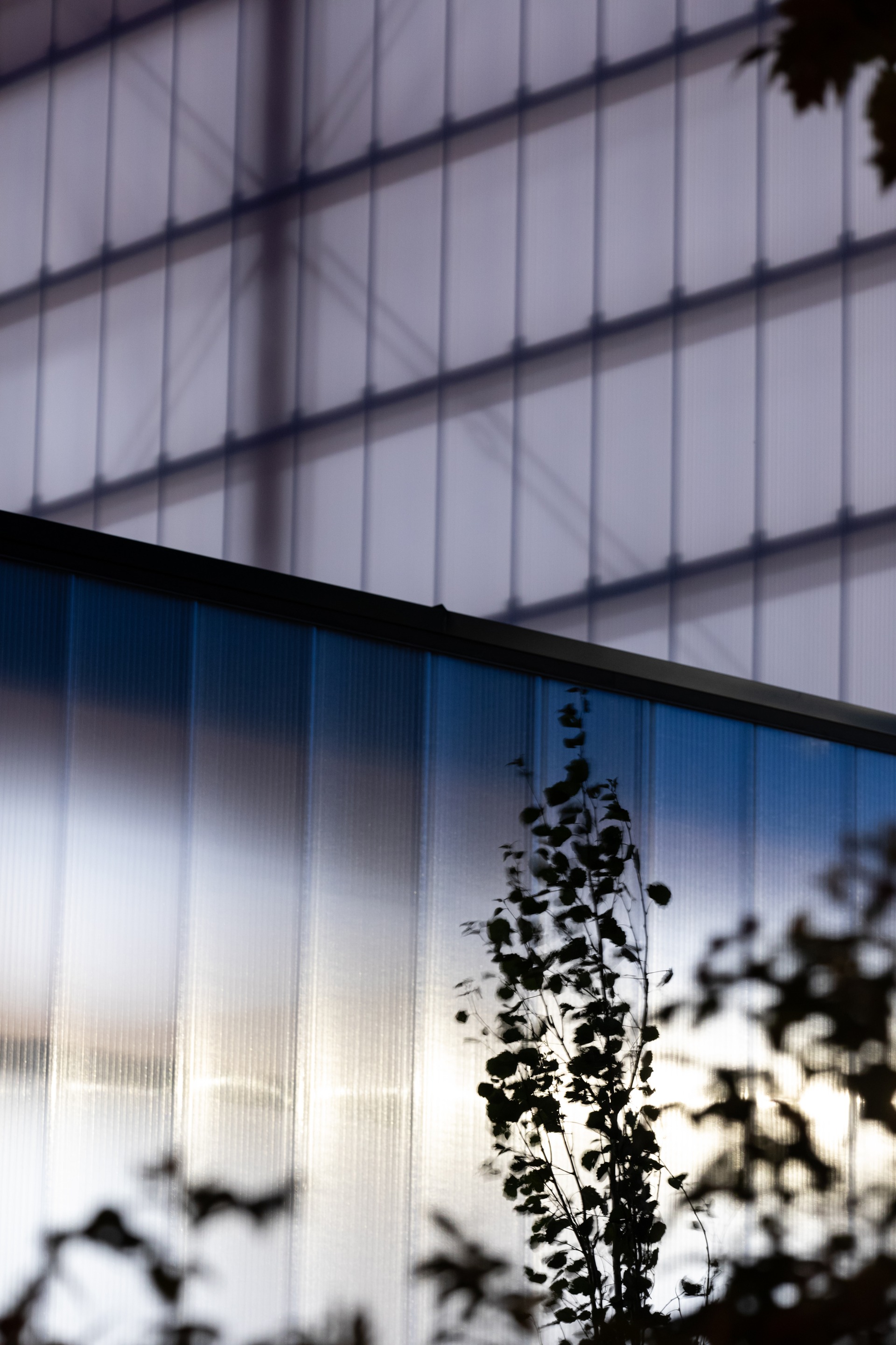 Gallery of Oregon Forest Science Complex / Michael Green Architecture - 16