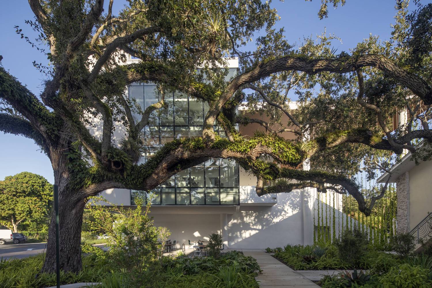 Gallery of Ransom Everglades School STEM Building / Perkins&Will - 7