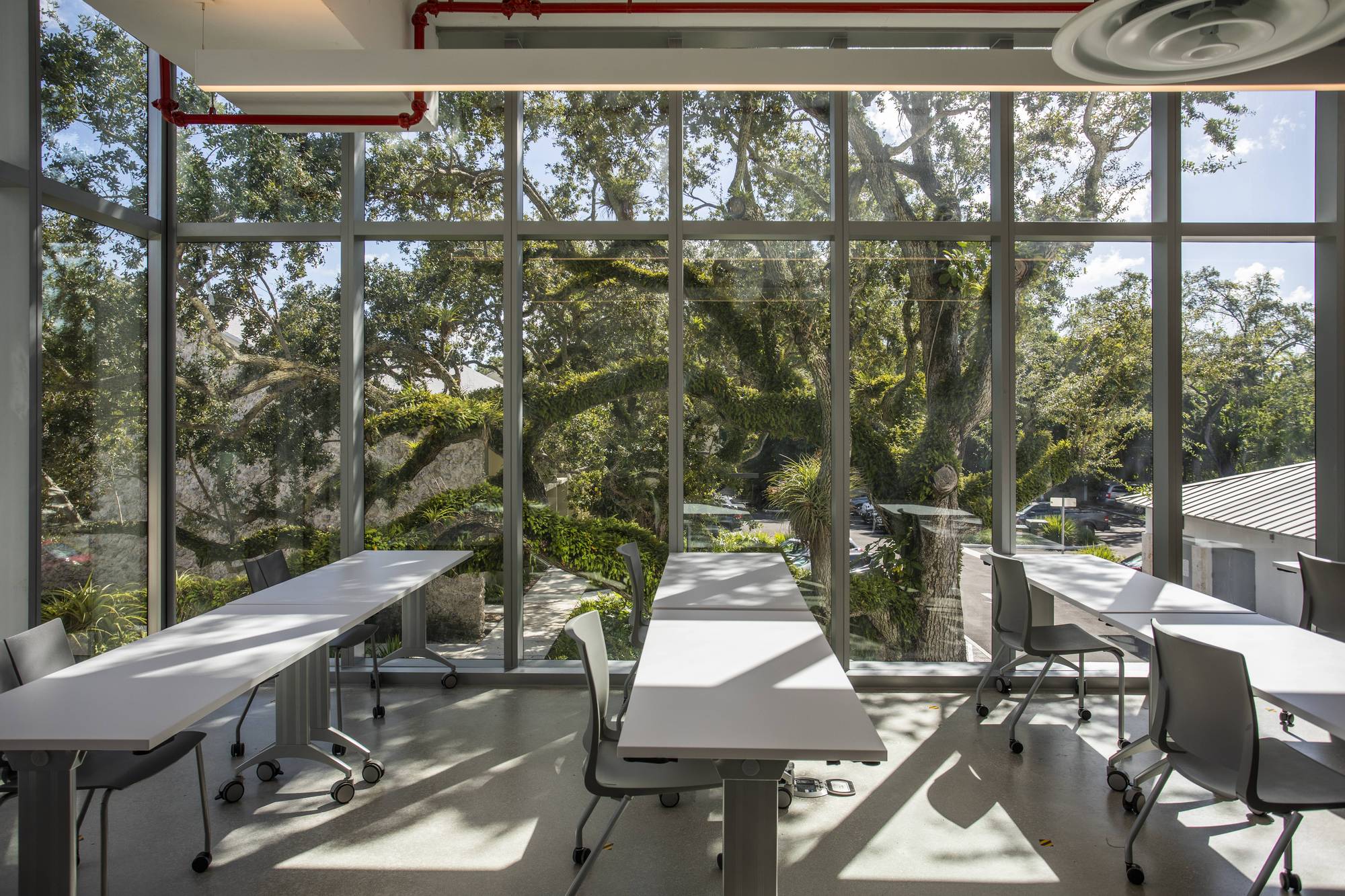 Gallery of Ransom Everglades School STEM Building / Perkins&Will - 5