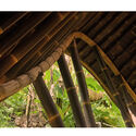 How Bamboo Bends to Create Curved Structures | ArchDaily