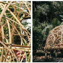How Bamboo Bends to Create Curved Structures | ArchDaily