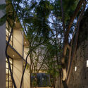 Jacarandas House / C3 Arquitectos | ArchDaily