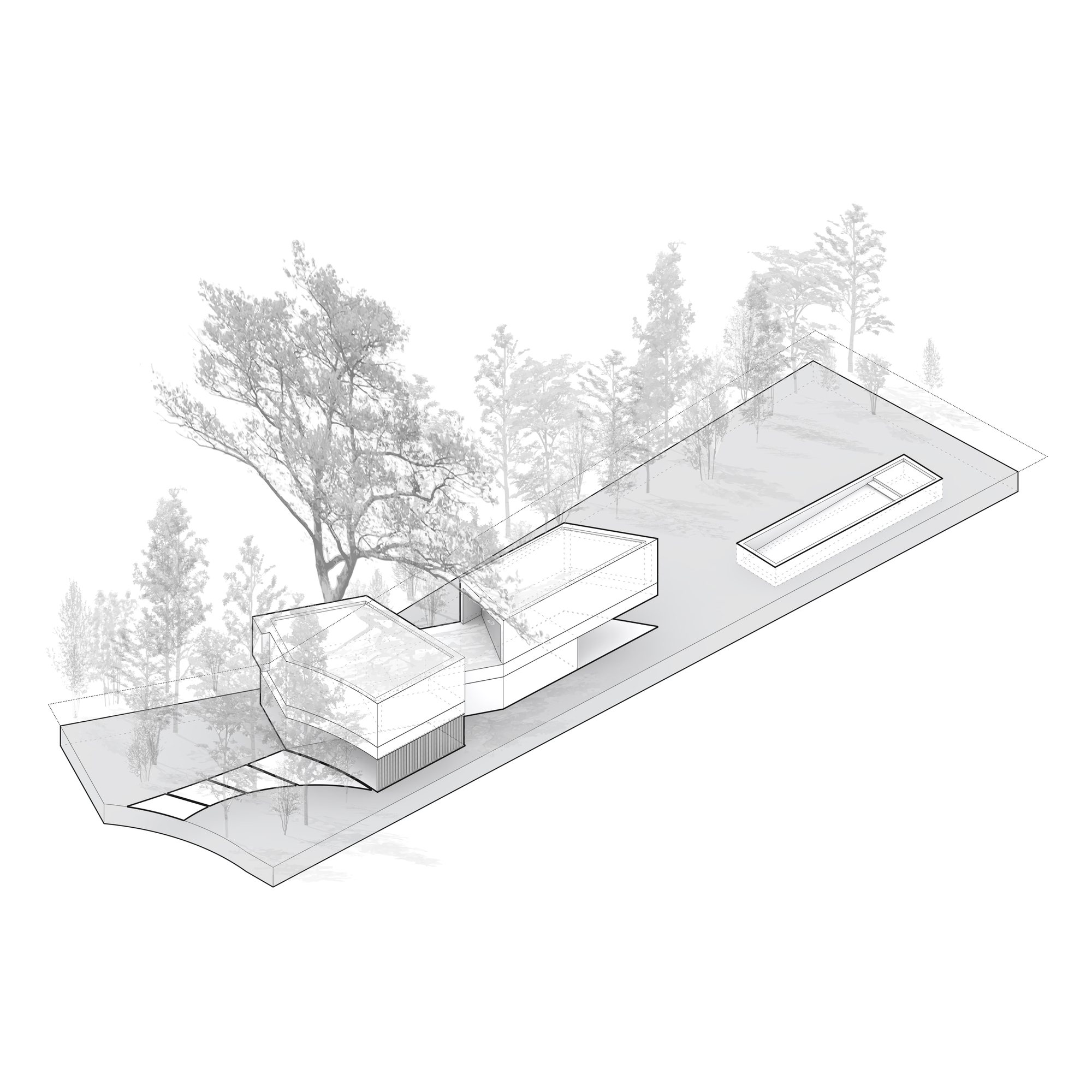 Galería de Casa en los árboles / Estudio Aloras - 23