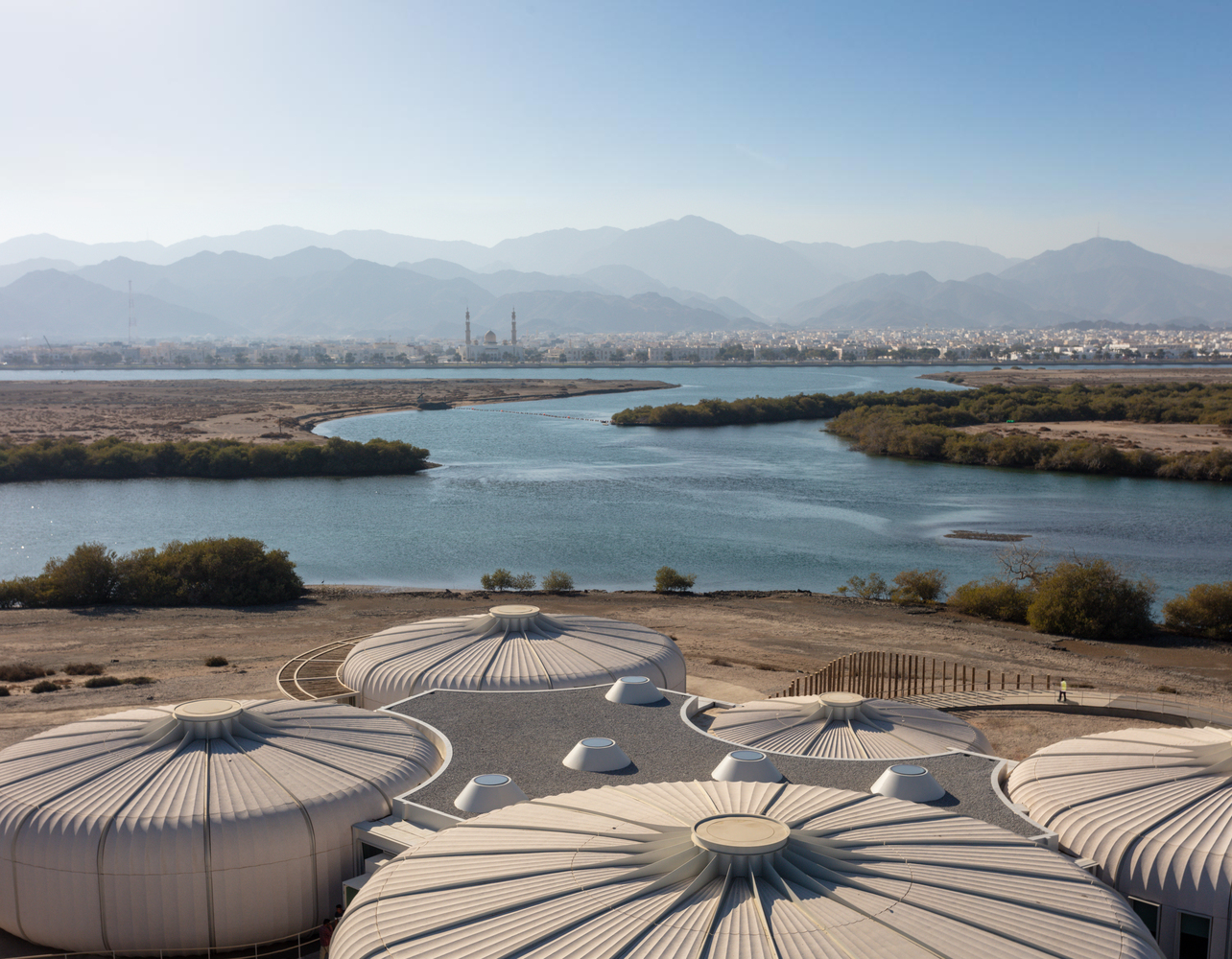 Gallery of Turtle Sanctuary at Kalba Mangrove Reserve / Hopkins ...