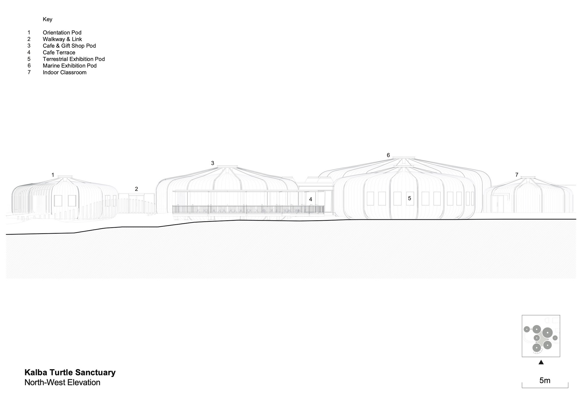 Gallery of Turtle Sanctuary at Kalba Mangrove Reserve / Hopkins ...
