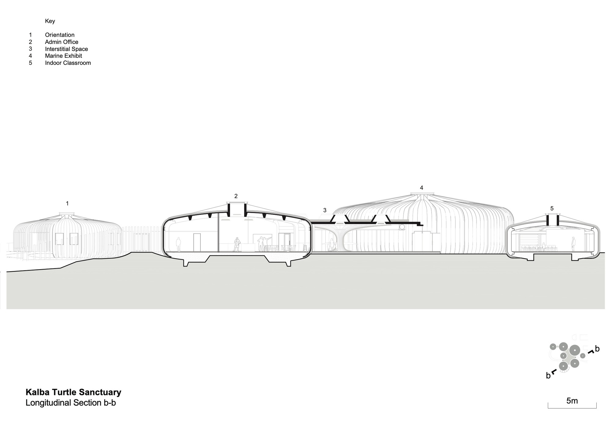 Gallery of Turtle Sanctuary at Kalba Mangrove Reserve / Hopkins ...