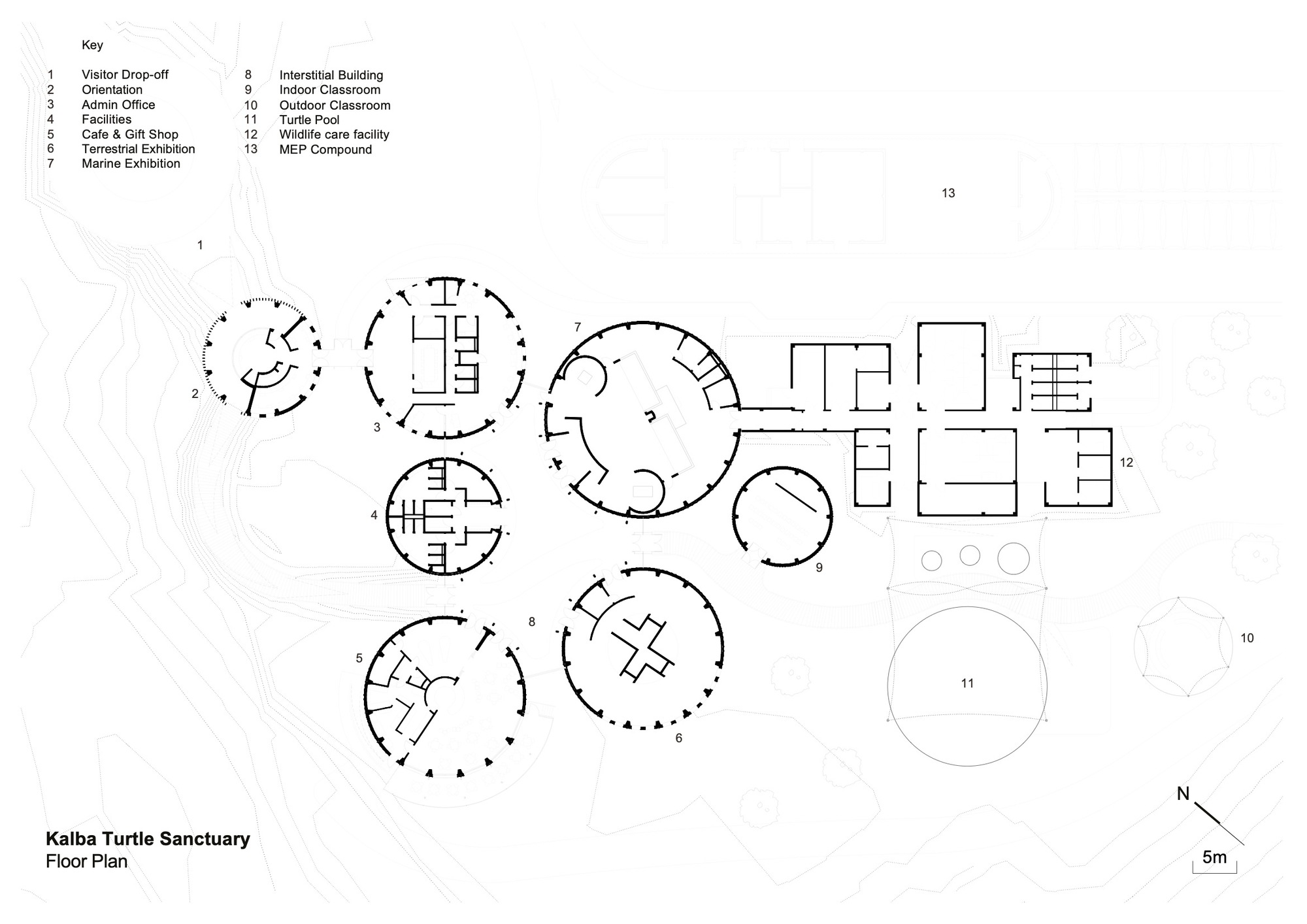 Gallery of Turtle Sanctuary at Kalba Mangrove Reserve / Hopkins ...
