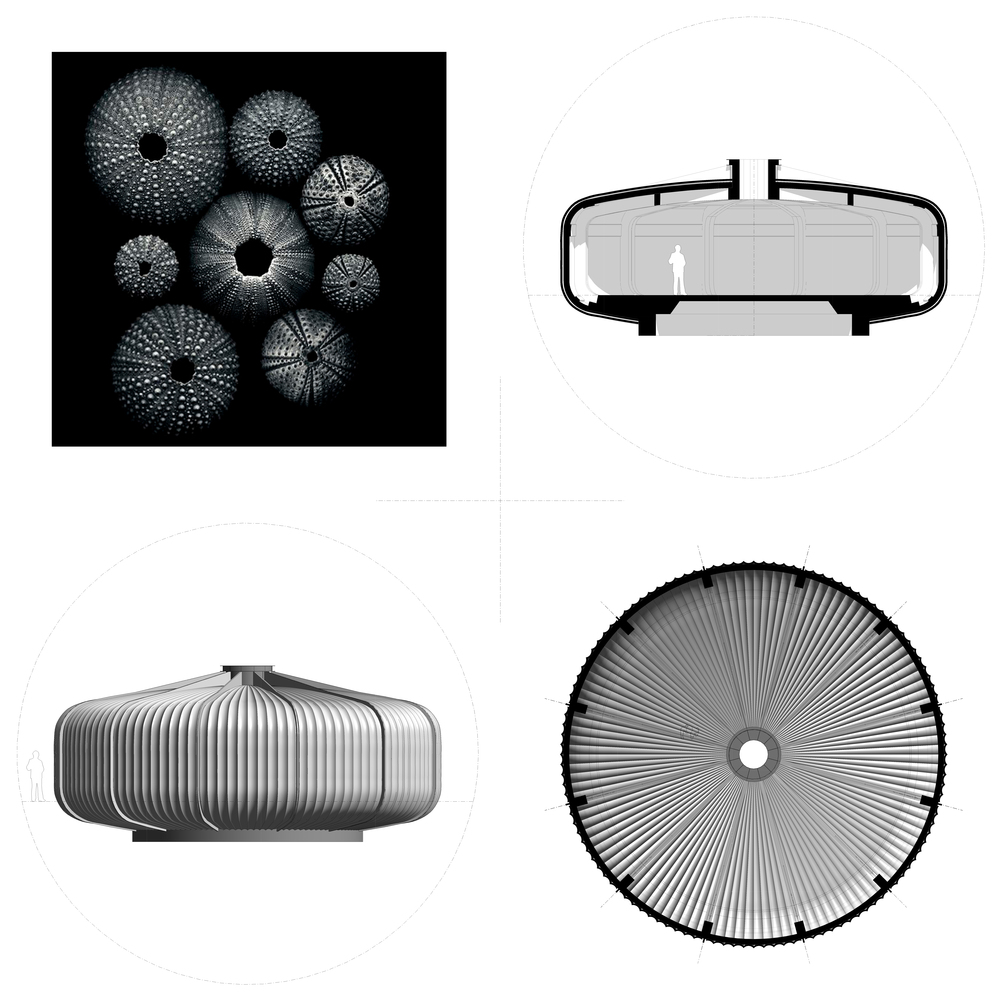 Gallery of Turtle Sanctuary at Kalba Mangrove Reserve / Hopkins ...