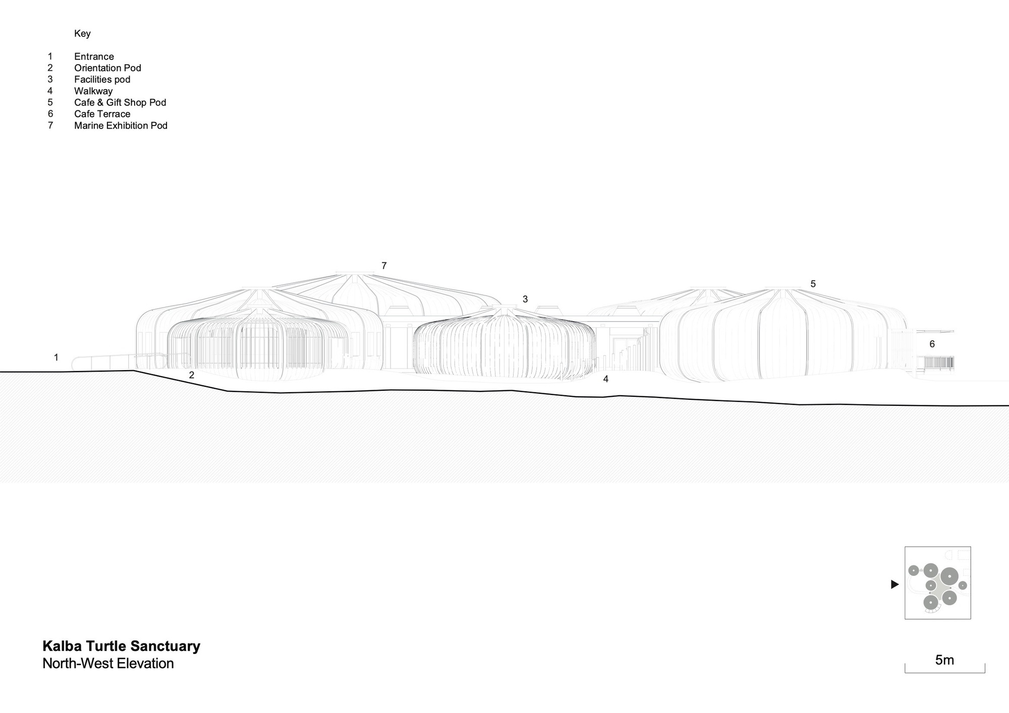 Gallery of Turtle Sanctuary at Kalba Mangrove Reserve / Hopkins ...