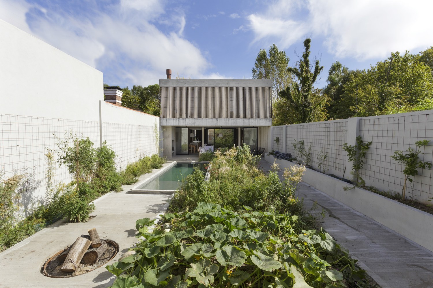 Gallery of Taming Exterior Greenery: Landscape Design for Houses in ...