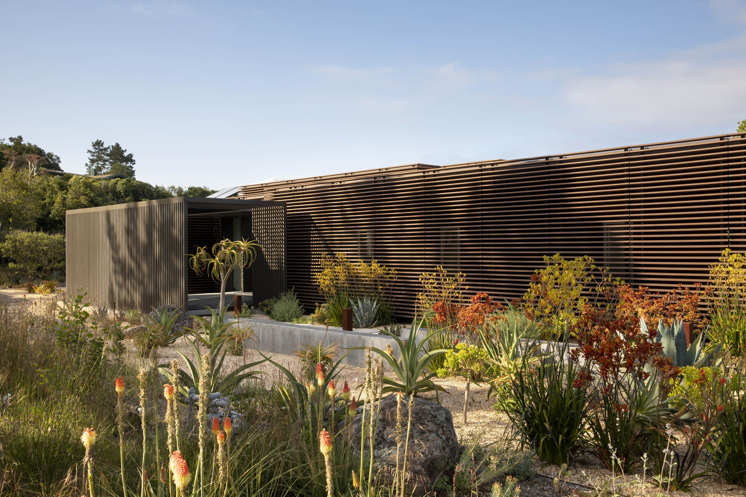 Gallery of Taming Exterior Greenery: Landscape Design for Houses in ...
