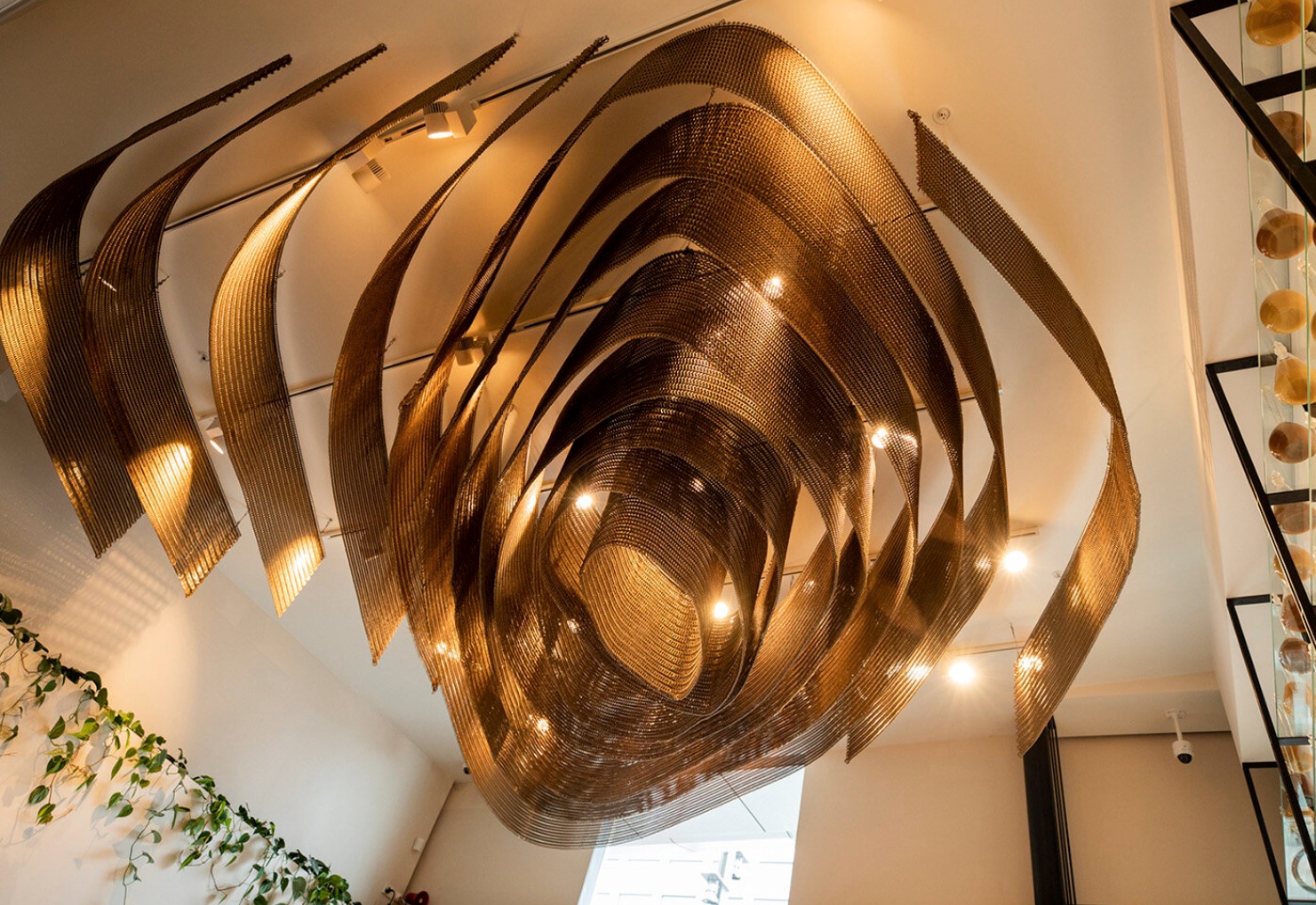 Gallery of 5 Ways that Custom Ceiling Features Can Enhance an Interior ...