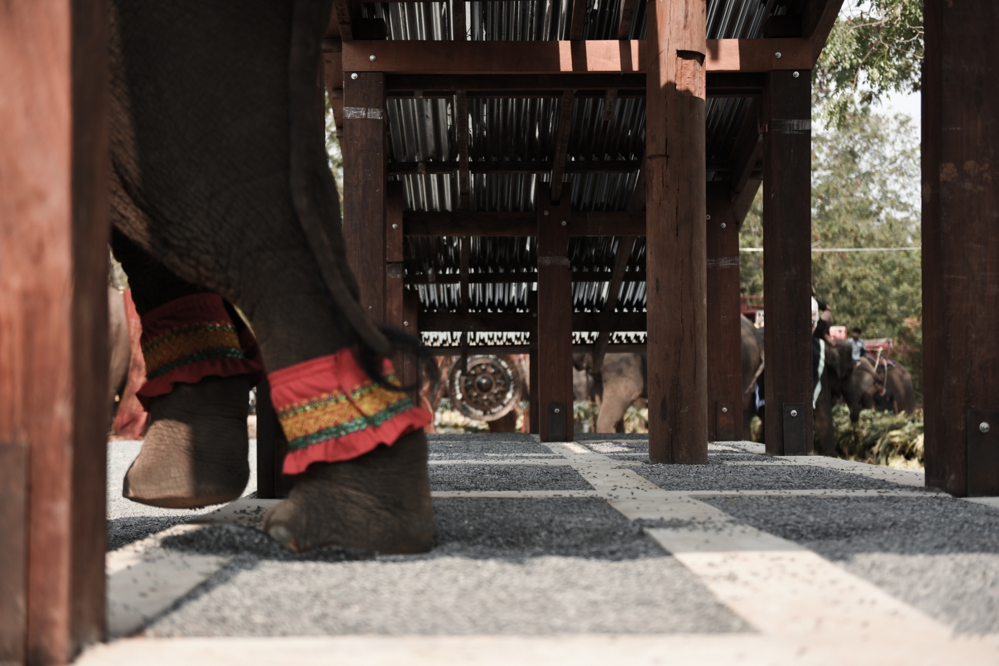 Gallery of The Thai Pavilion at the 2021 Venice Biennale Explores the ...