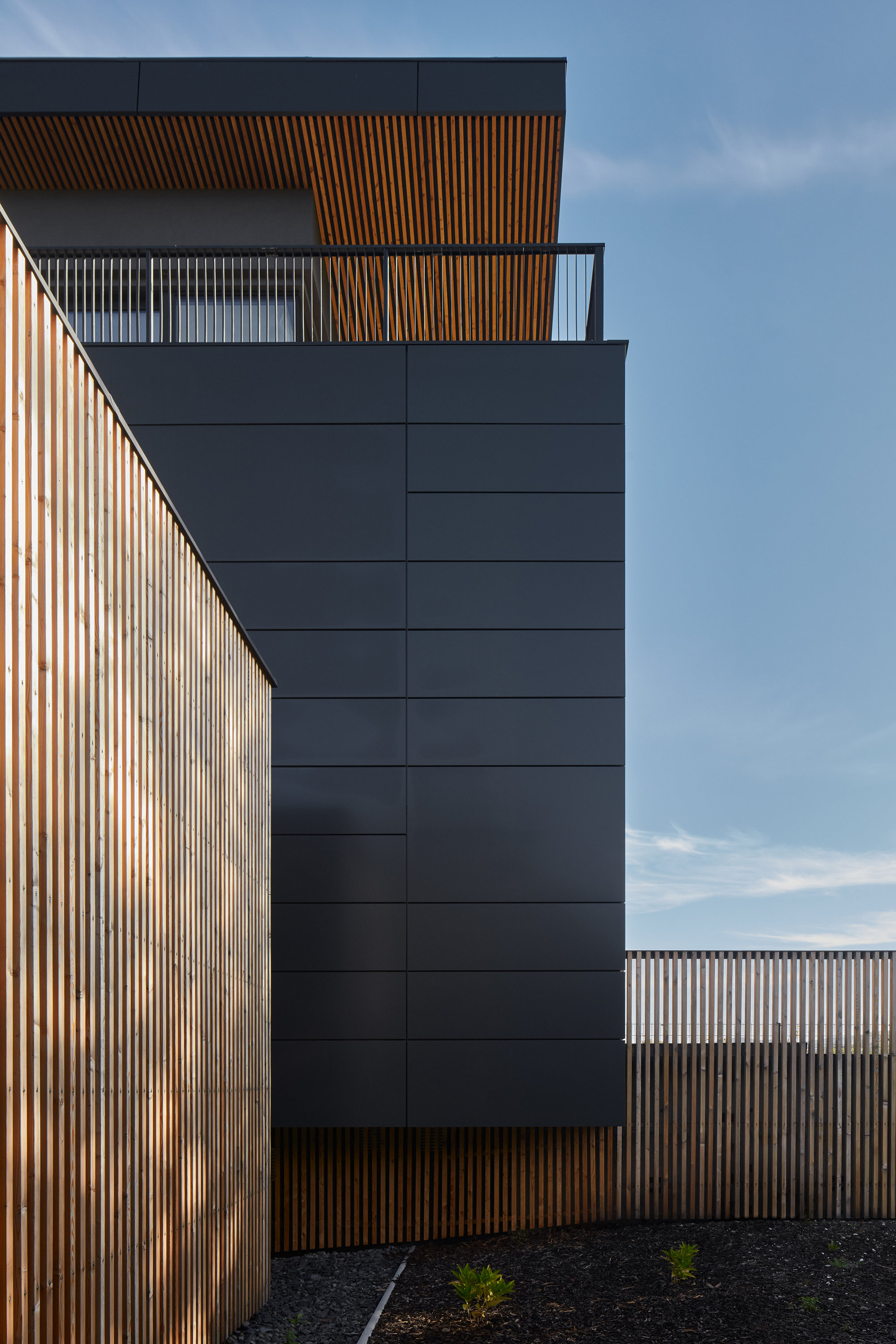 Gallery of Tee House / CMC architects - 14