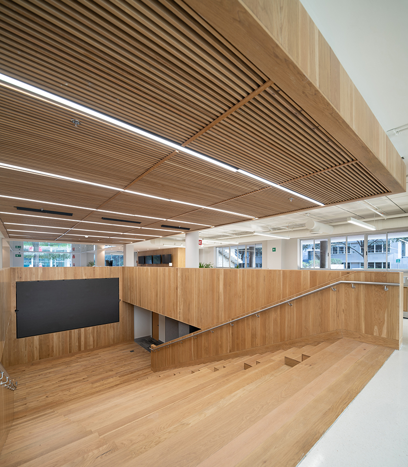 Paco Beams - The Best Picture Of Beam