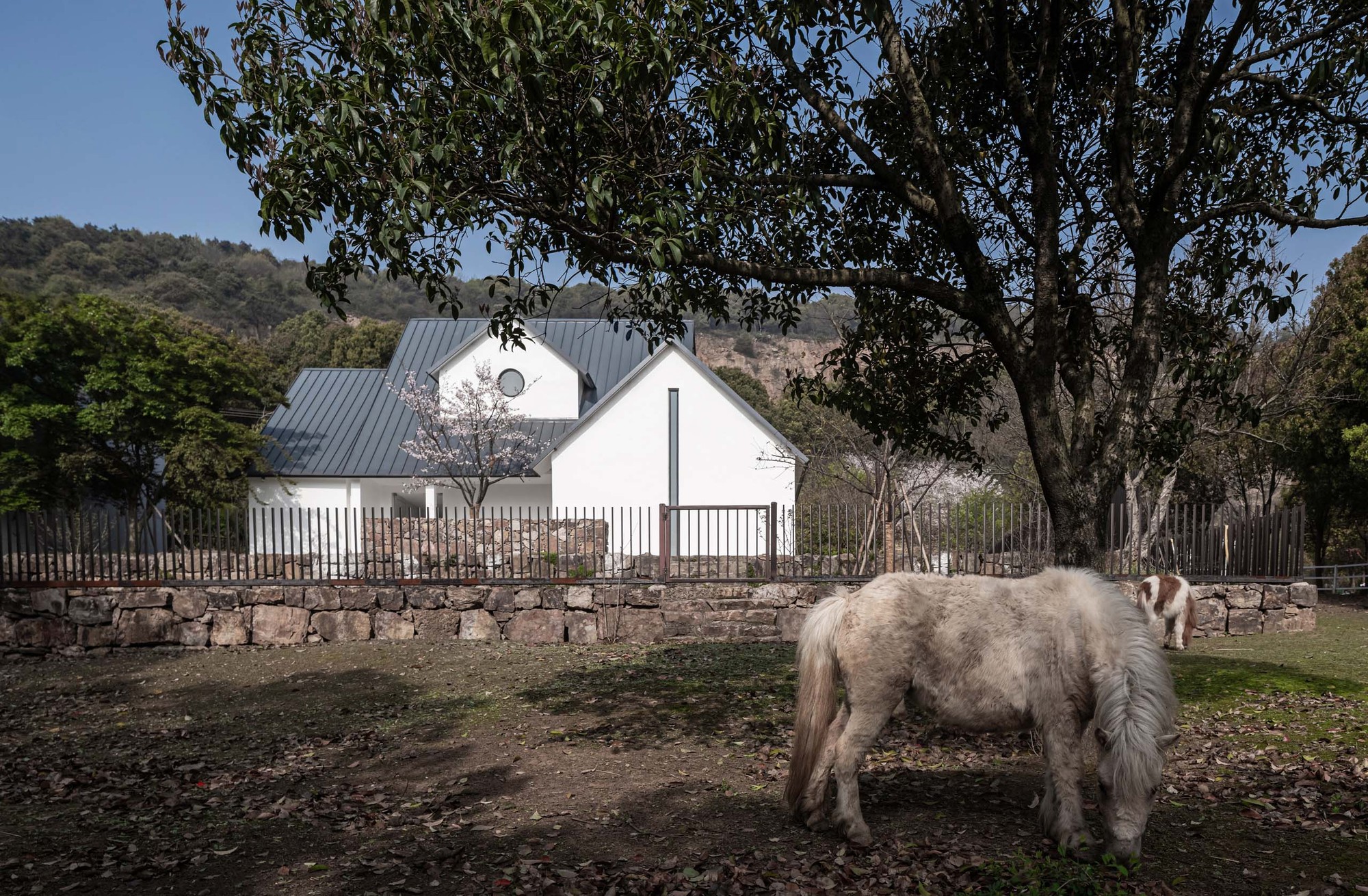 Gallery of JCD.Office Space / JCD.interior design - 2