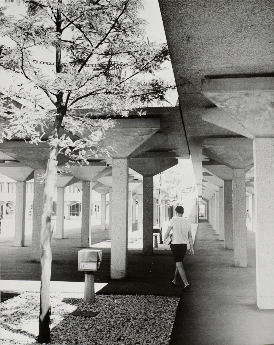 Gallery of Exploring Chicago’s Lost Walkway System - 3