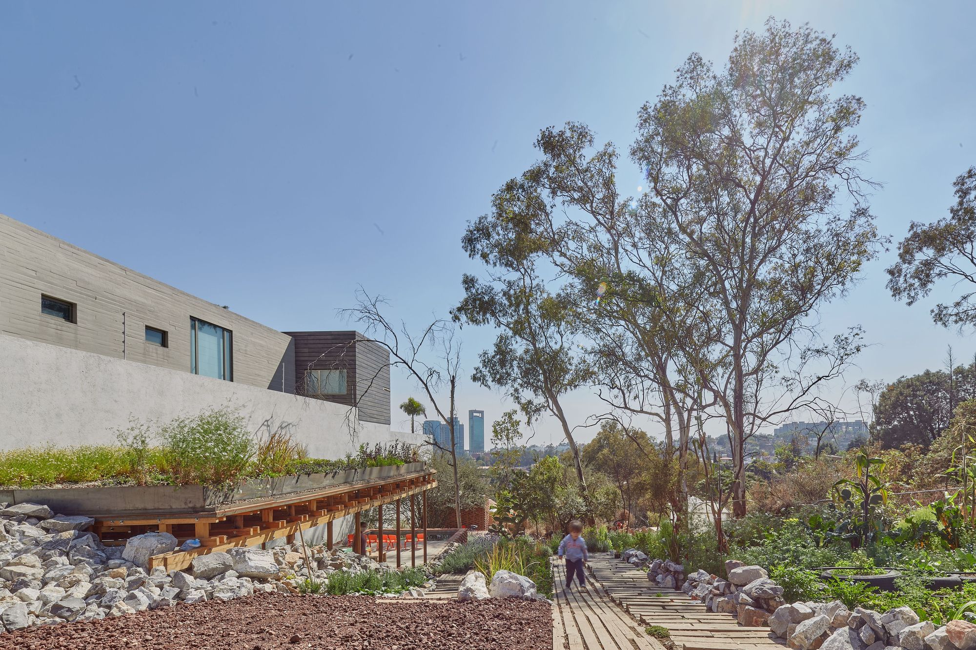 Gallery of El Terreno Communal Garden / Vertebral - 28