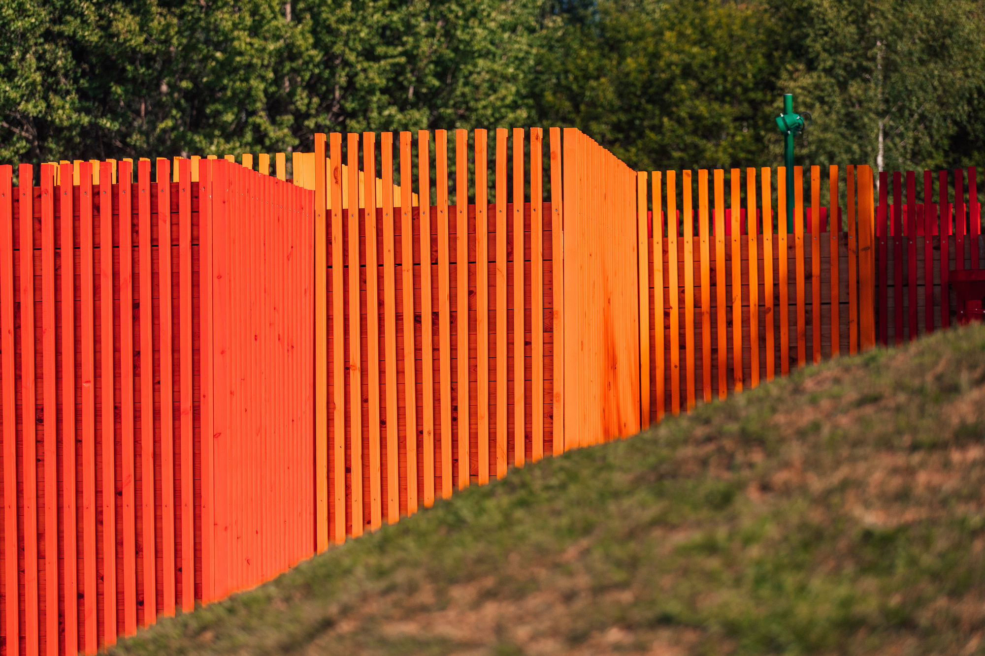 Gallery of Gaidar Cultural and Recreational Park / IRGSNO - 18