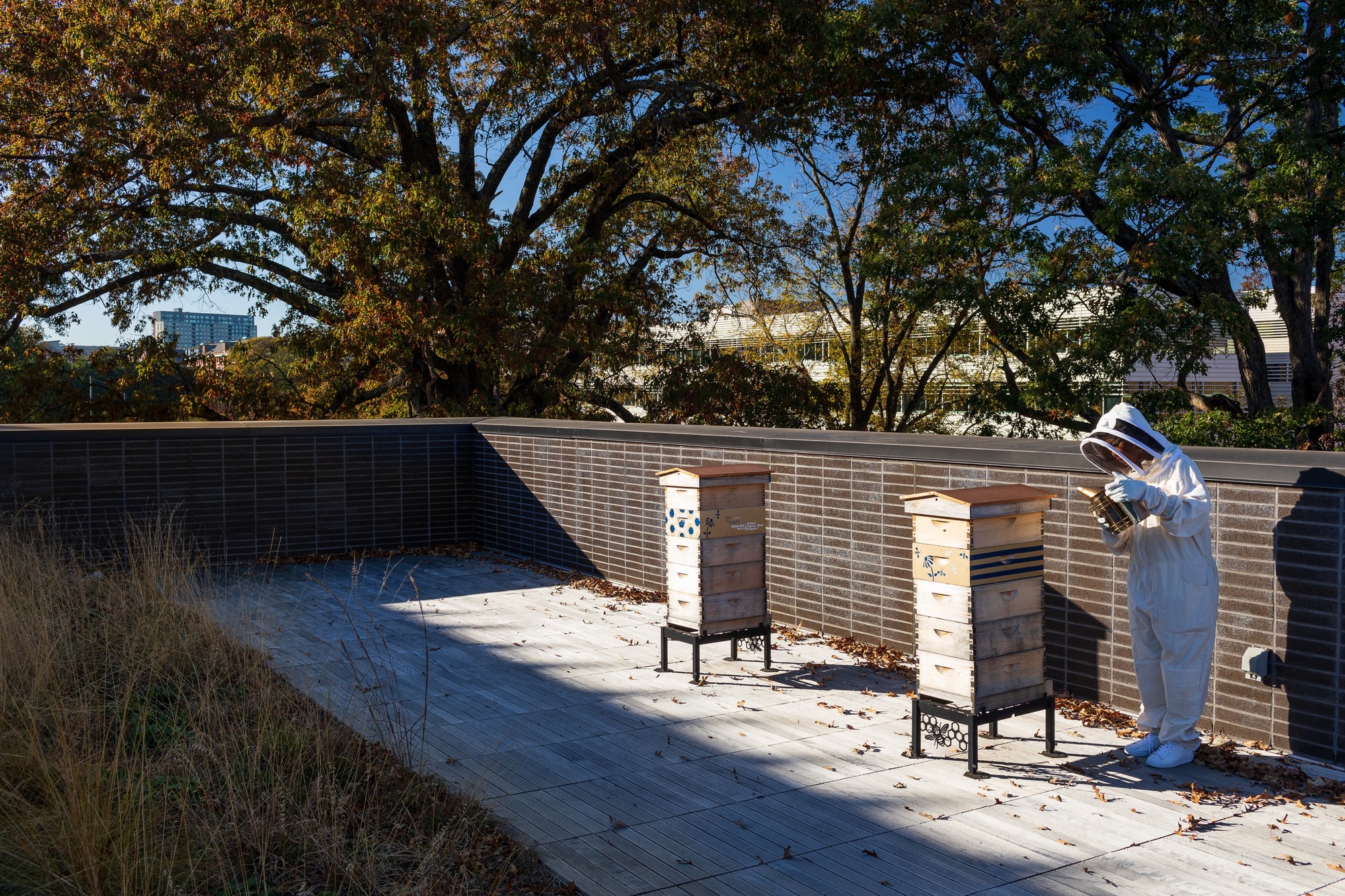 Gallery of The Kendeda Building for Innovative Sustainable Design ...