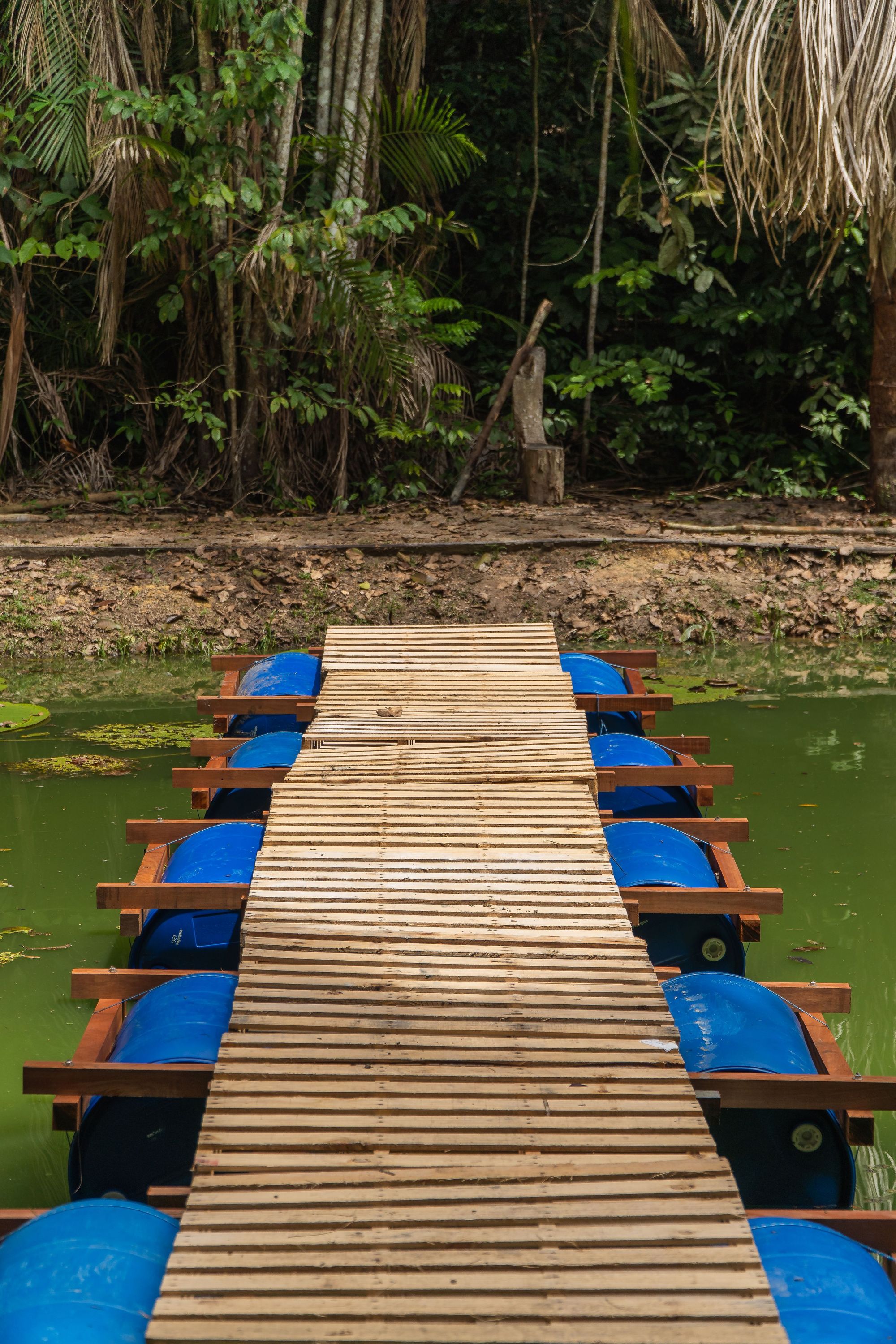 Gallery of Floating Bridges in Manaus / Colectivo Aqua Alta - 18