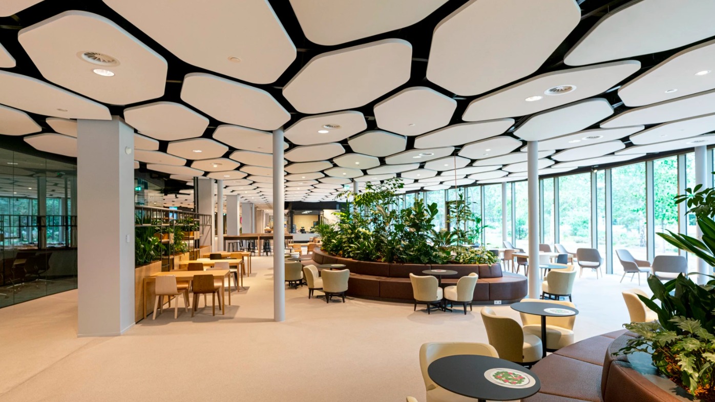 Gallery of How to Design the Perfect Acoustic Enclosure: Comfort in ...