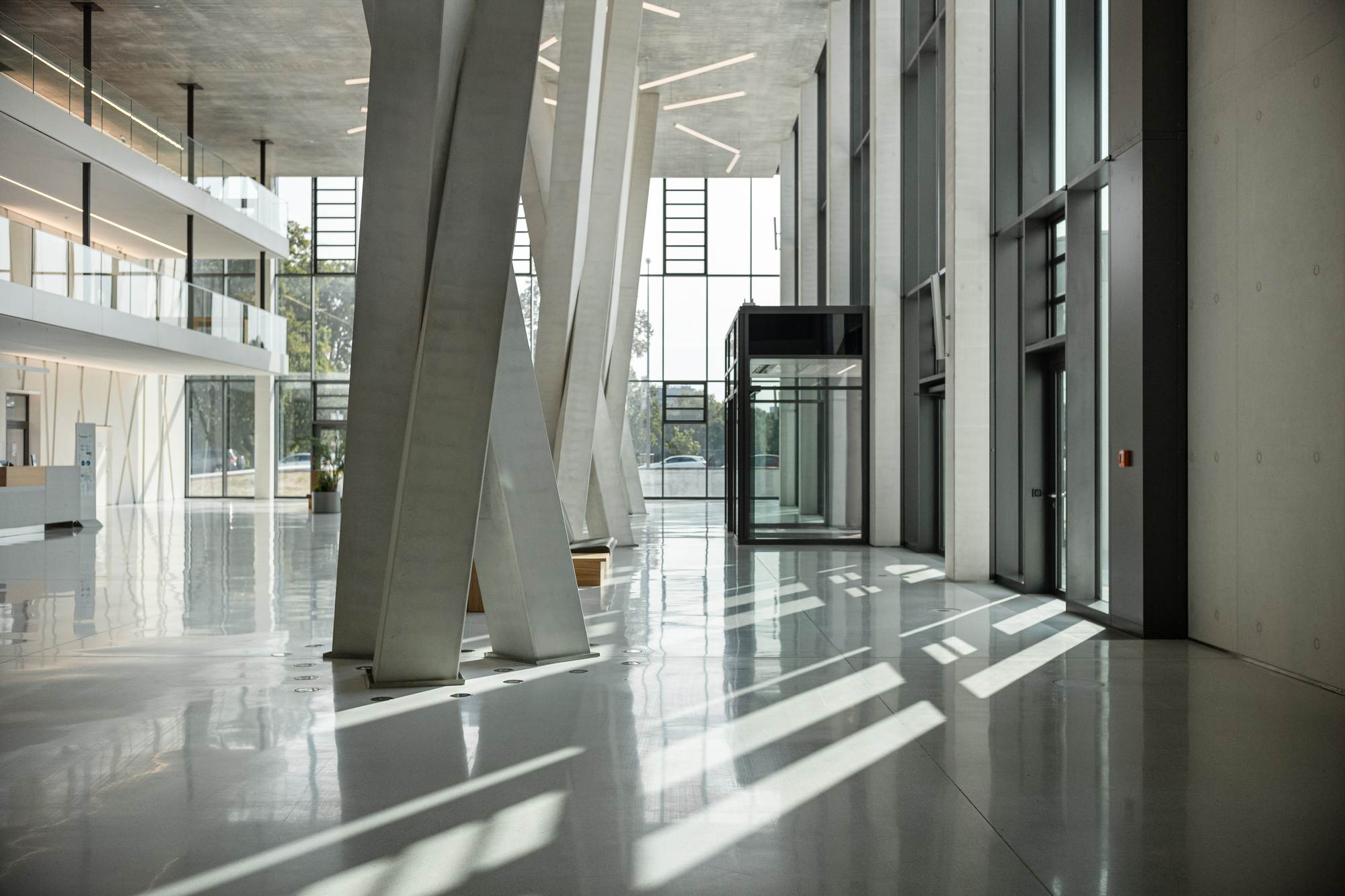 Gallery of The Power of Concrete: Twisted Tree-Shaped Supports and ...