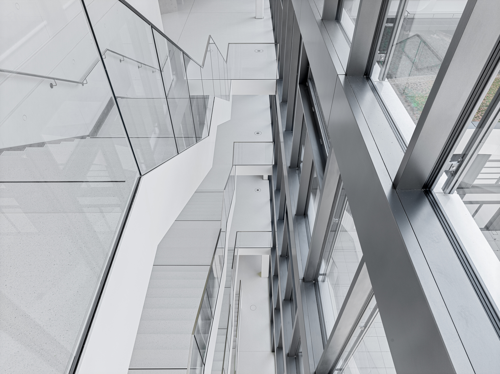 Gallery of The Power of Concrete: Twisted Tree-Shaped Supports and ...