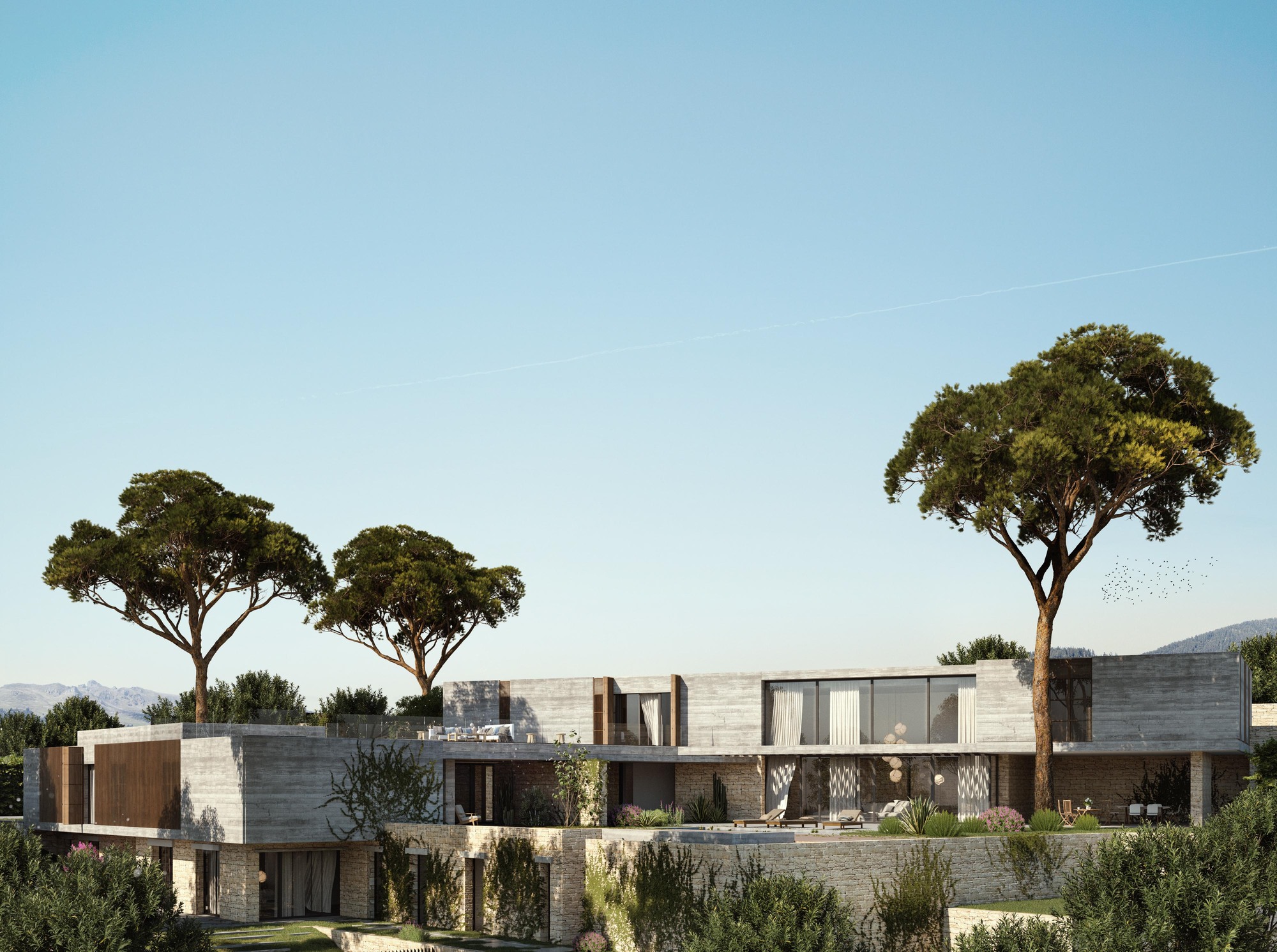 Gallery of A Circular Summer Retreat and a Native-Tree Inspired ...