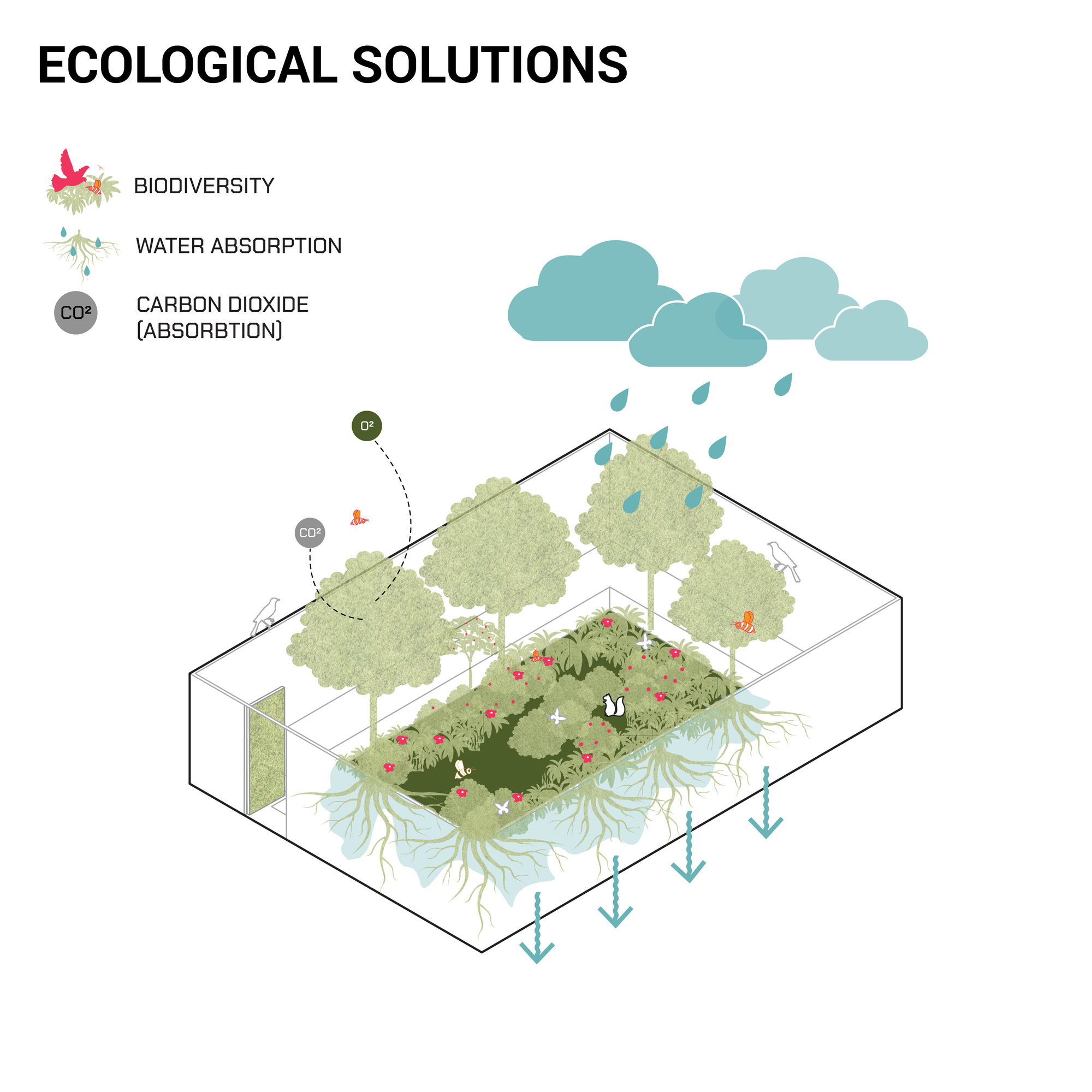 Gallery of Come on, Calm on / Shma - 18