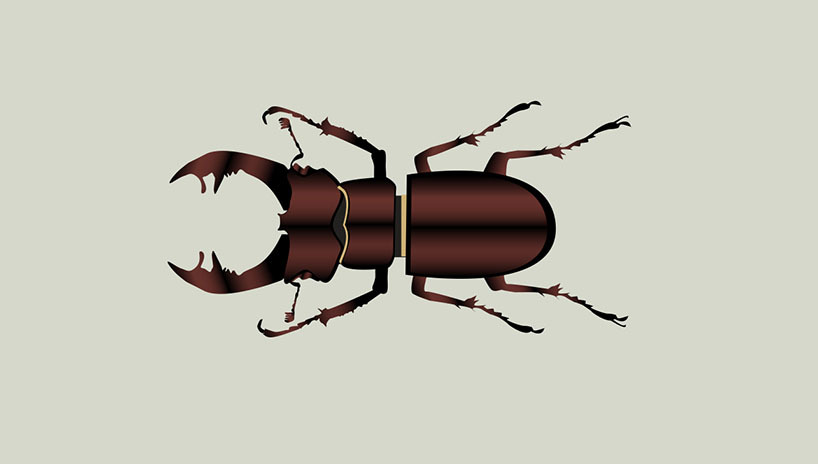 Gallery of World's Largest Timber Structure Unveiled by Anders ...