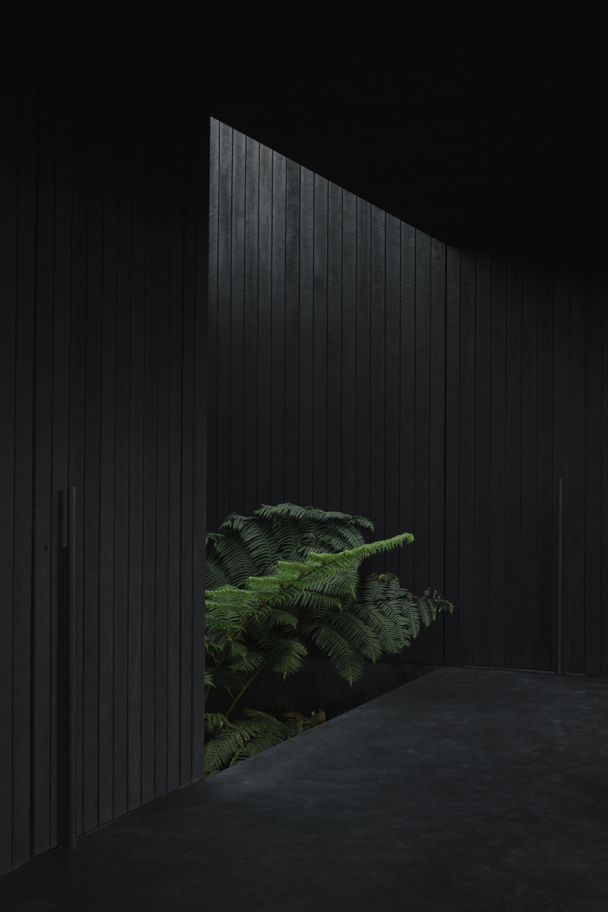 Gallery of Federal House / Edition Office - 28