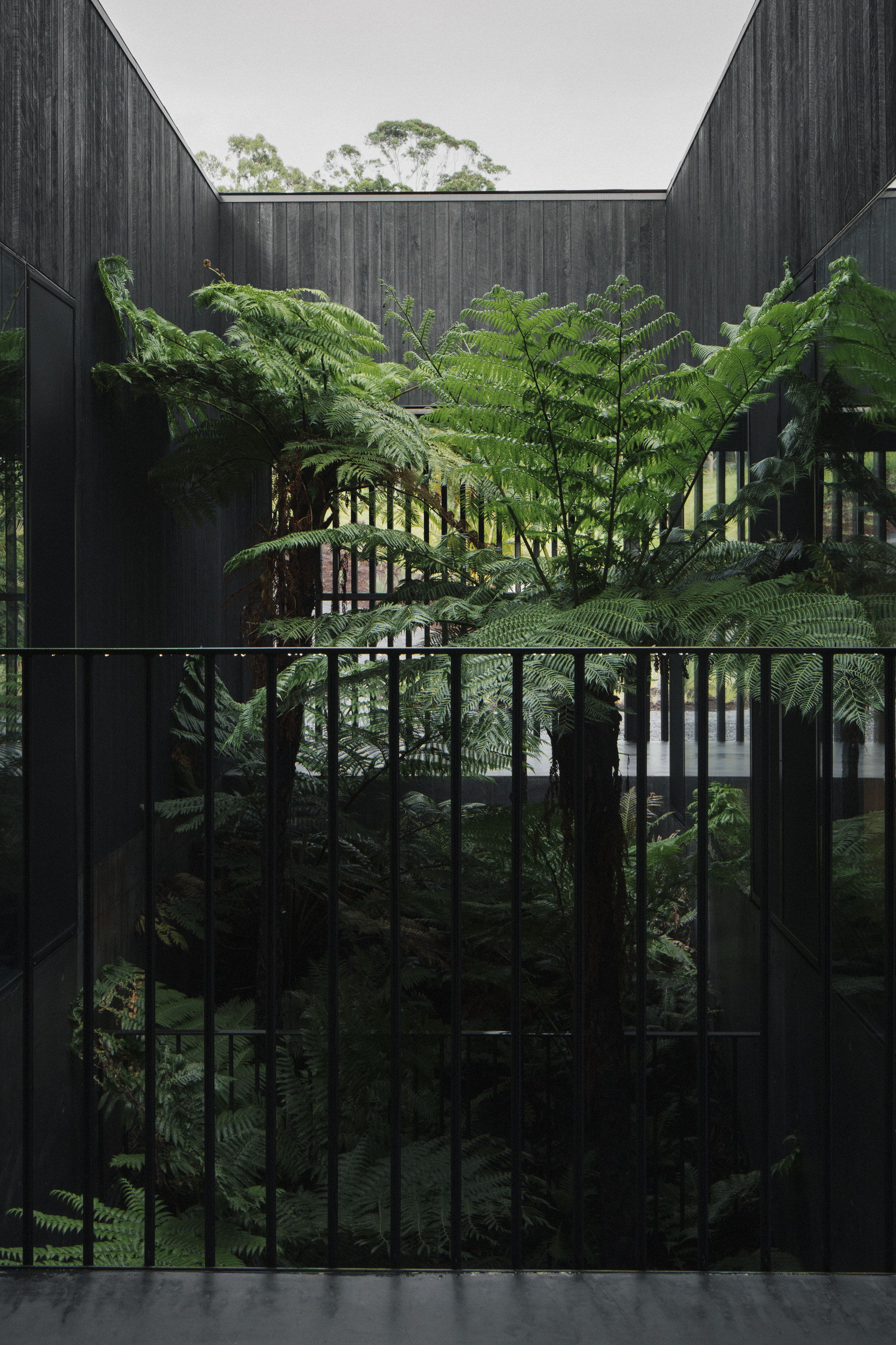 Gallery of Federal House / Edition Office - 24