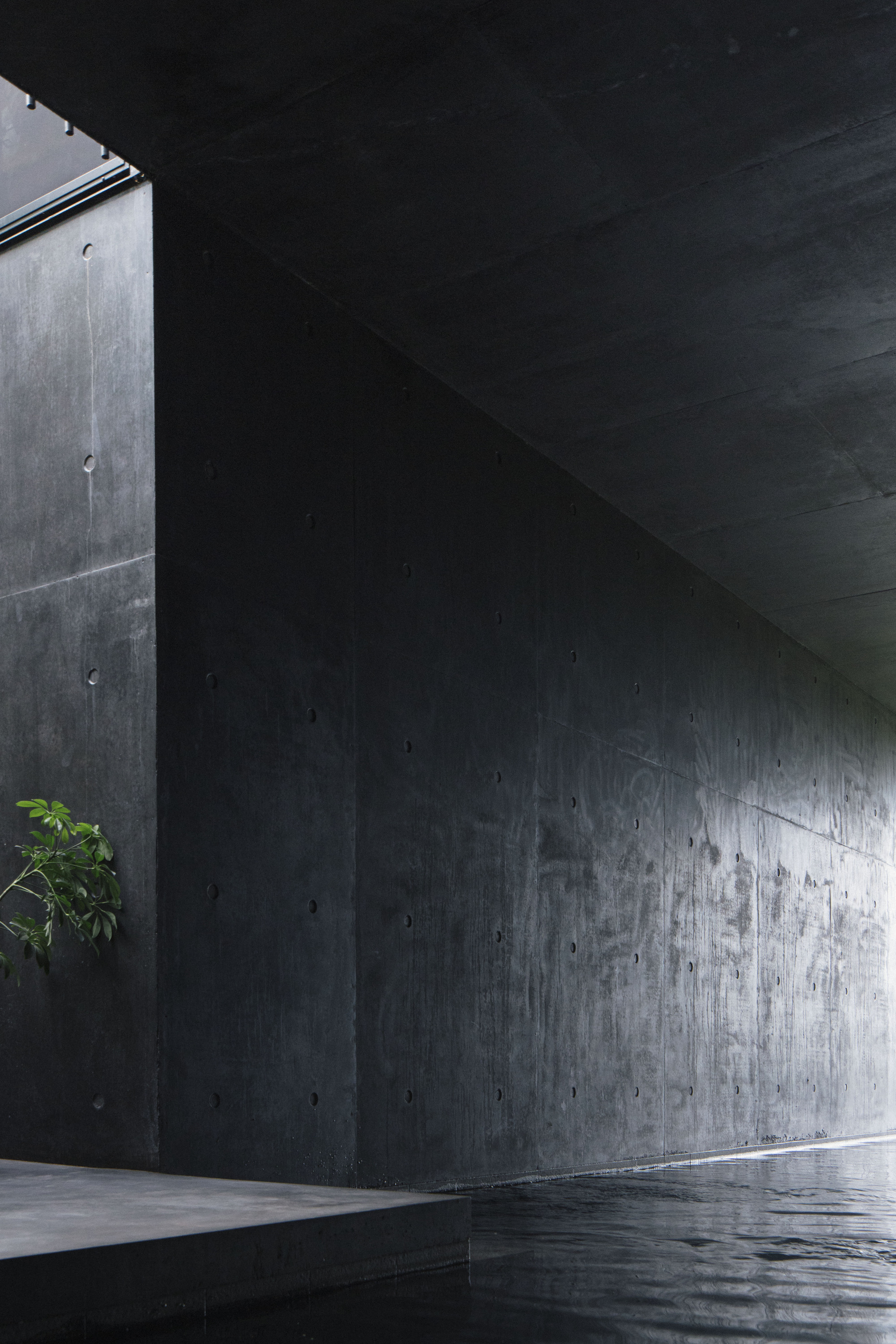 Gallery of Federal House / Edition Office - 35