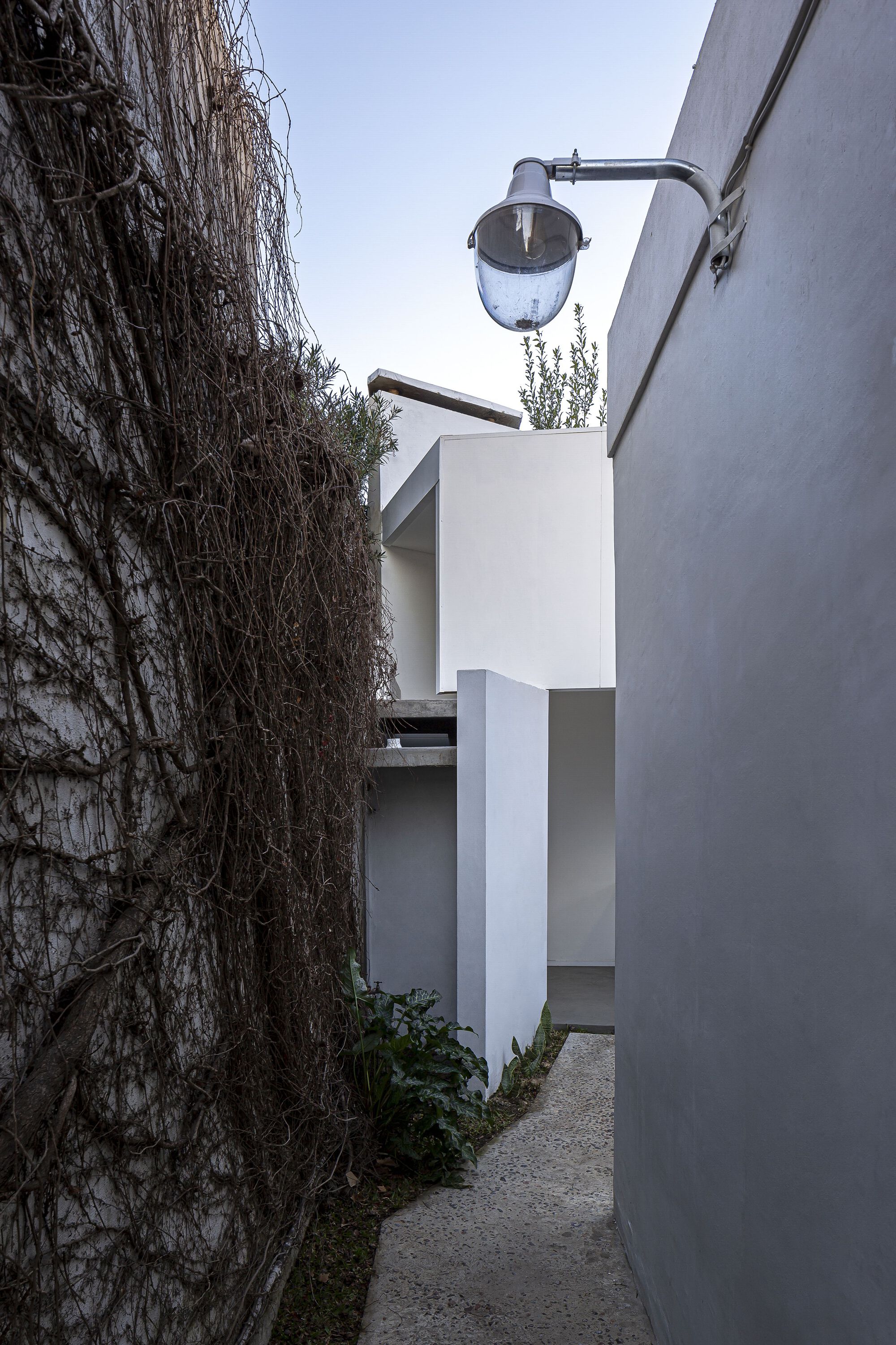 Gallery of Masip House Extension / Castellani Losada Arquitectura - 2