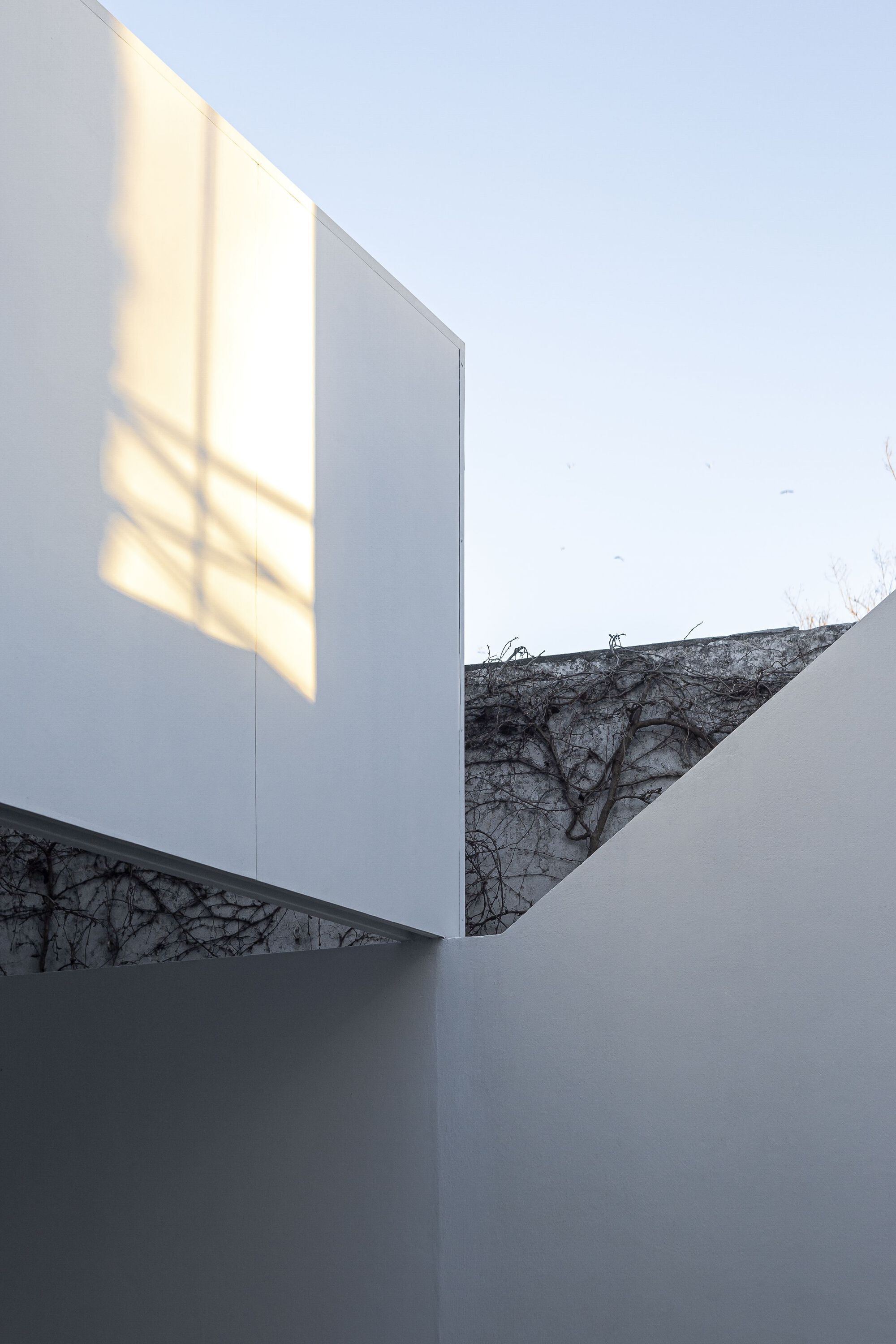 Gallery of Masip House Extension / Castellani Losada Arquitectura - 3