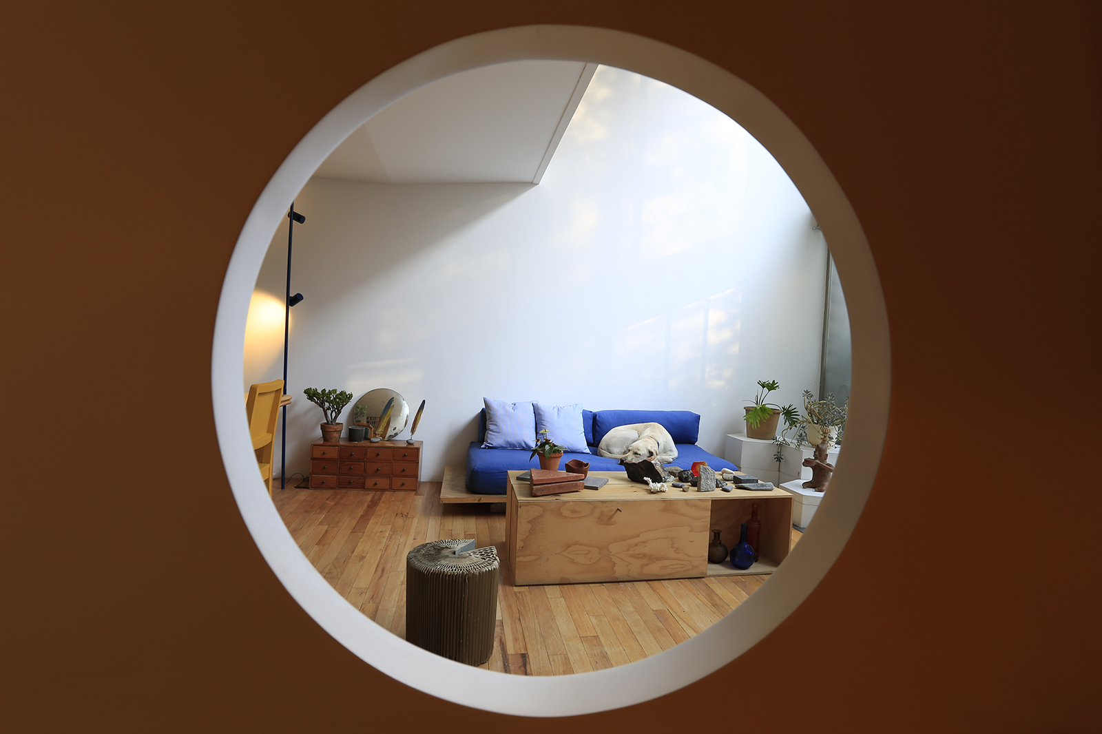 Gallery of Casa Tagle / DOMA + Luca Sala - 14