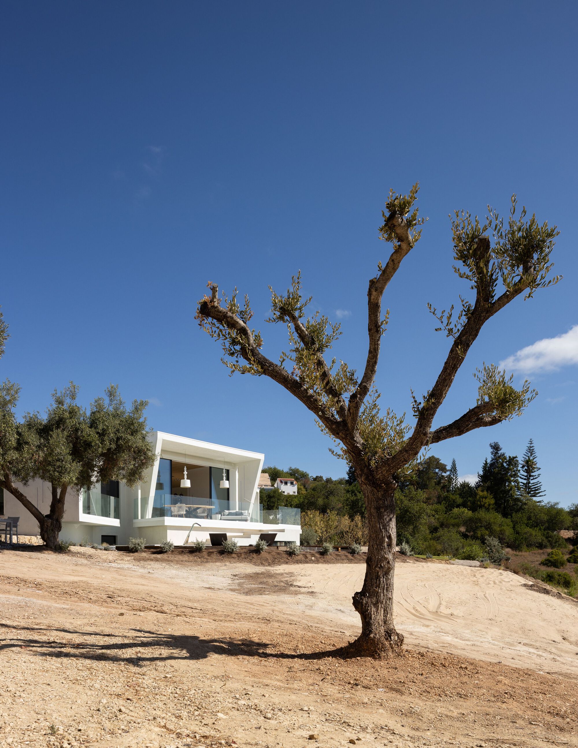 Galería de Casa Azul / CORE Architects - 9