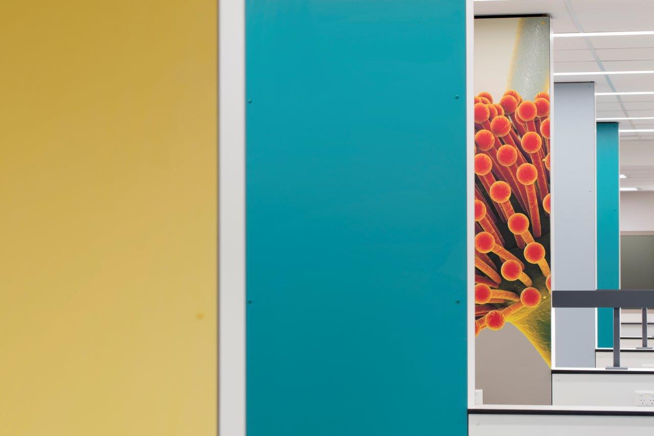 Gallery of The Versatility of HPL Panels for Interior Spaces - 7