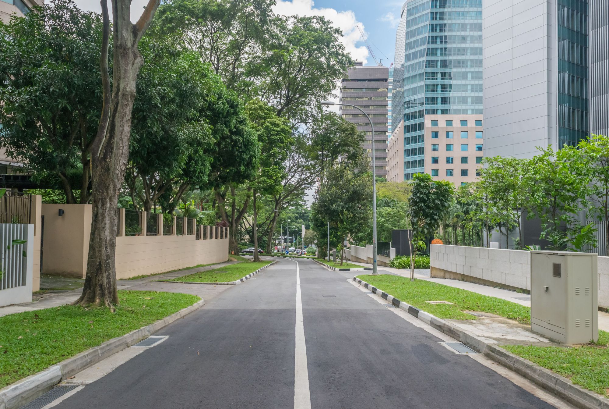 The Greenovation Revolution: How to Make Cities Greener and Fairer ...