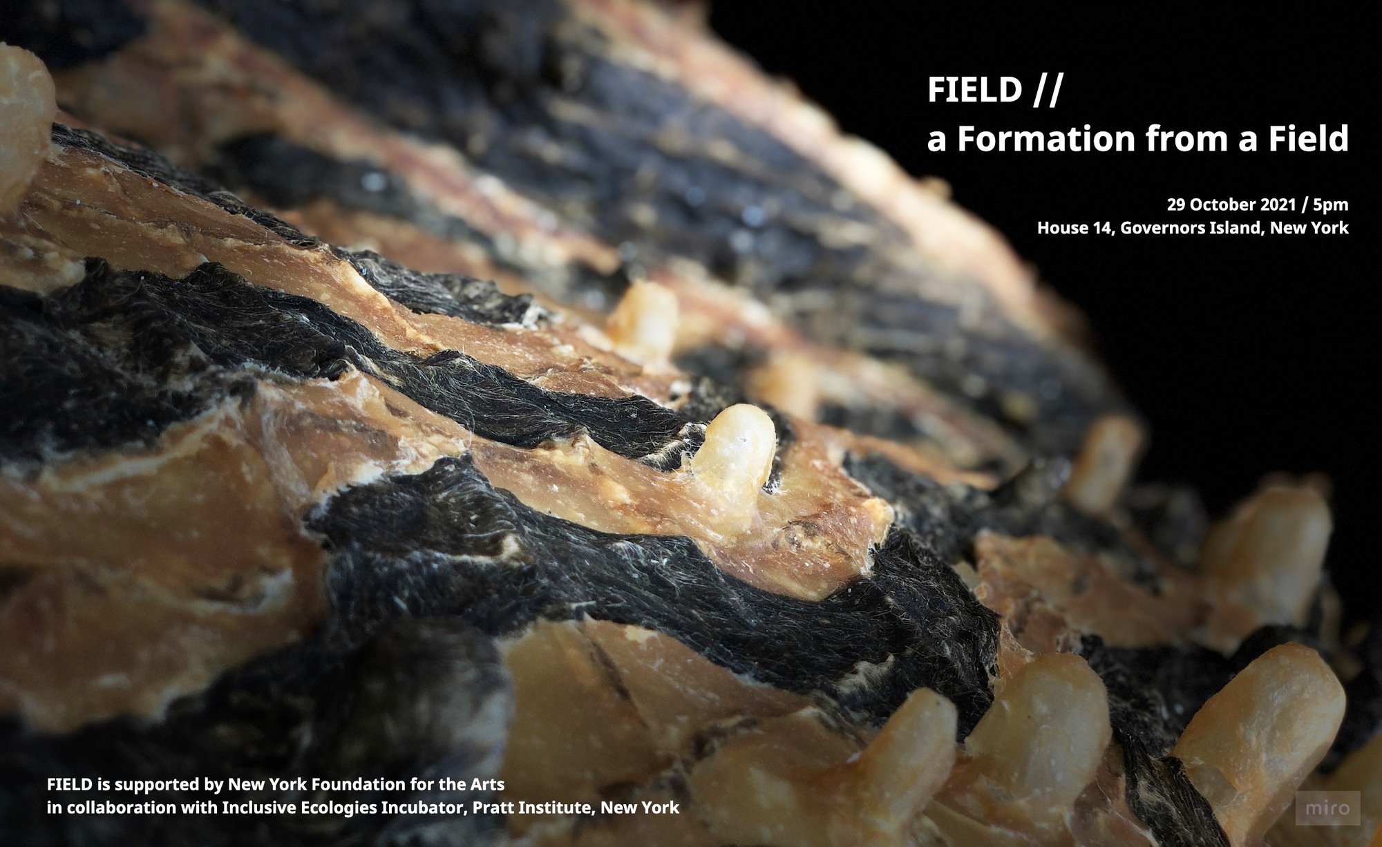 FIELD // a Formation From a Field | ArchDaily
