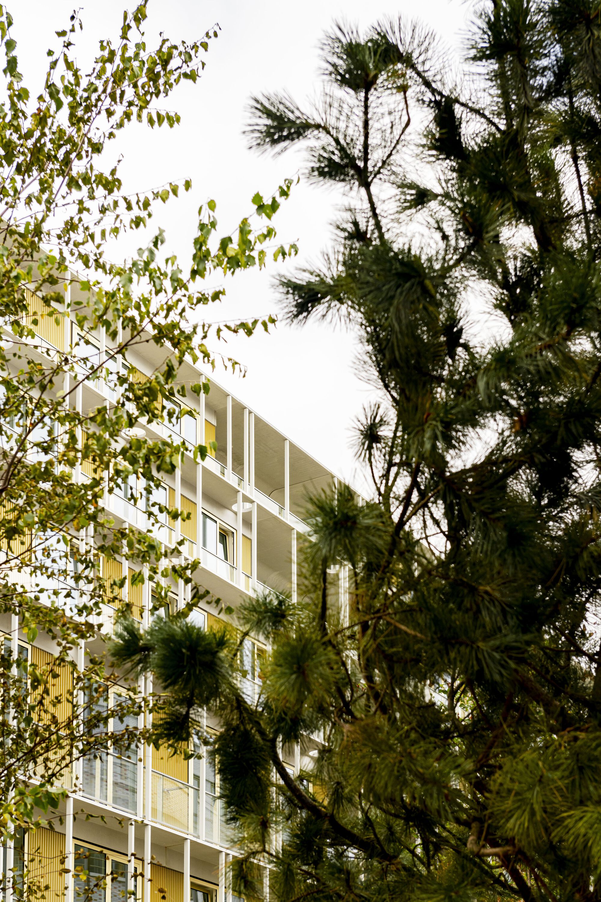 Gallery of The Line Housing Complex / Orange Architects - 17